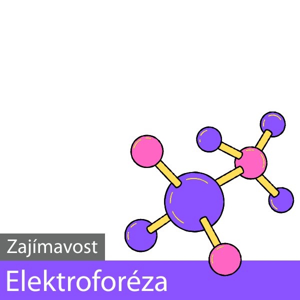 Elektroforéza - Matelab