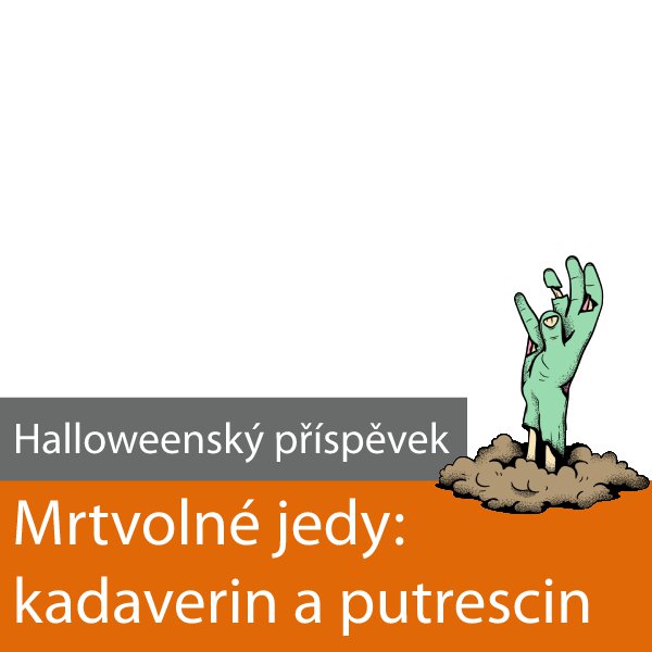 Mrtvolné jedy: kadaverin a putrescin - Matelab